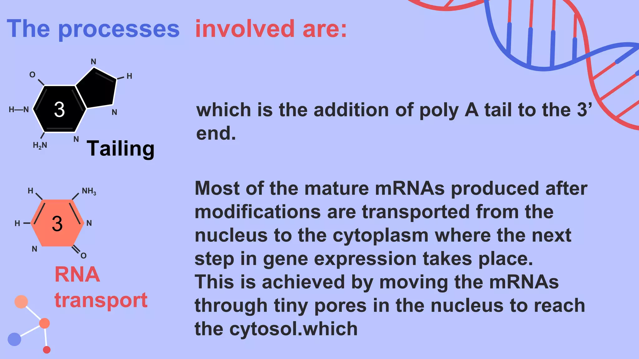 Regulation Of Gene Expression | PPTX