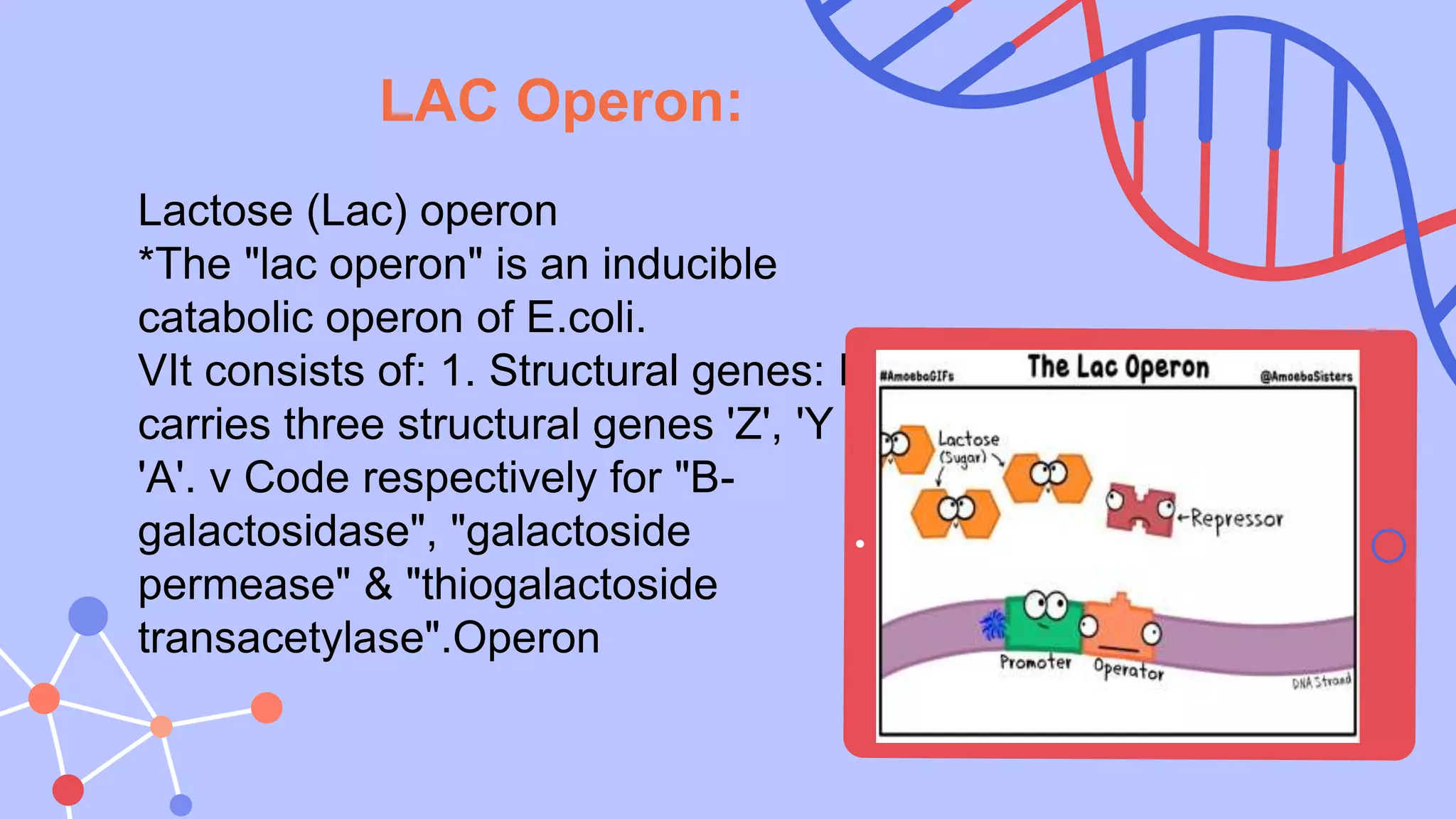 Regulation Of Gene Expression | PPTX