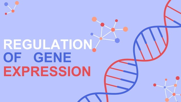 Regulation Of Gene Expression | PPTX | Programming Languages | Computing