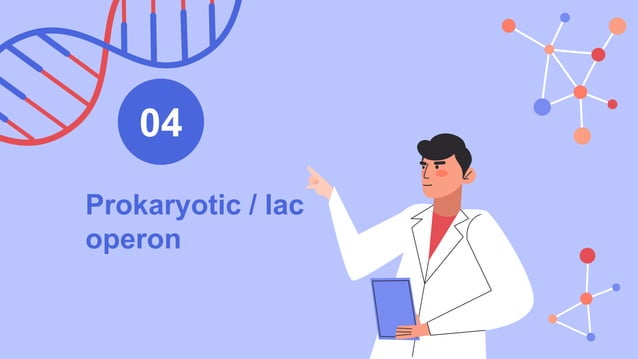 Regulation Of Gene Expression | PPTX | Programming Languages | Computing