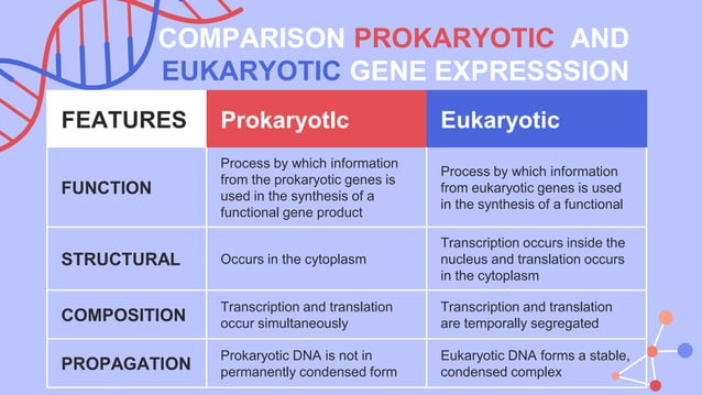 Regulation Of Gene Expression | PPTX | Programming Languages | Computing