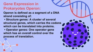 Regulation Of Gene Expression | PPTX