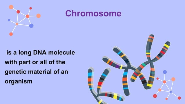 Regulation Of Gene Expression | PPTX | Programming Languages | Computing