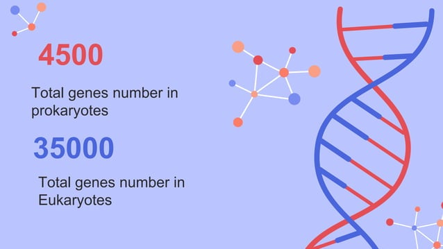 Regulation Of Gene Expression | PPTX | Programming Languages | Computing