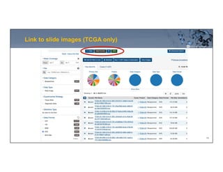 CPTAC Data at the Genomic Data Commons | PDF