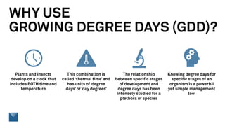 Why Your GDD Estimate Isn’t Good Enough—and How to Fix It | PDF ...