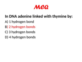 GD DNA STRUCTURE.pptx DNA chemistry structure | PPT