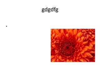 Gdgdfg | PPTX