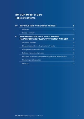 IDF GDM MODEL OF CARE IMPLEMENTATION PROTOCOL GUIDELINES FOR HEALTHCARE ...