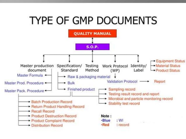 Good Documentation Practice (GDP) | PPTX