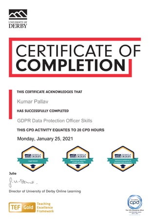 GDPR Data Protection Officer (DPO) Skills | PDF