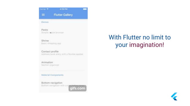 Flutter study jam 2019 | PPT