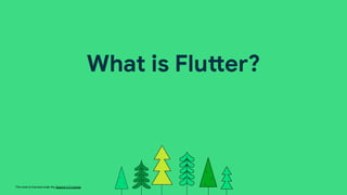 GDSC-FlutterBasics.pdf