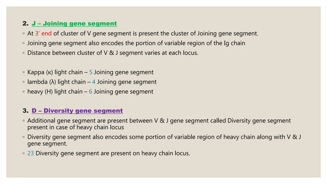 genitics of antibody diversity | PPTX | Genetics | Science