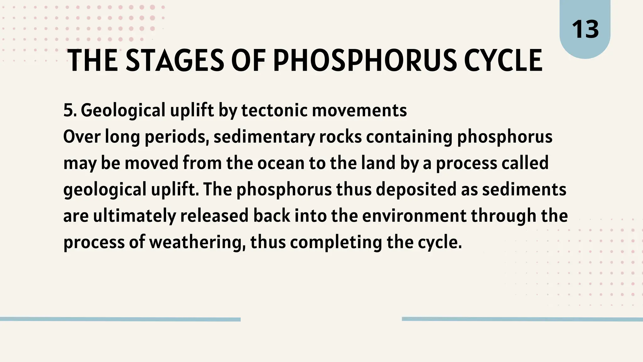 GE-ES-PHOSPHORUS-cycle.pptxxxxxxxxxxxxxx | PPTX