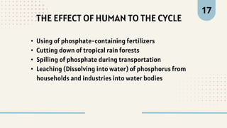 GE-ES-PHOSPHORUS-cycle.pptxxxxxxxxxxxxxx | PPT