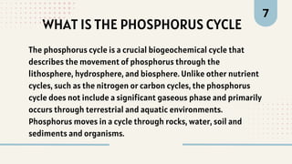 GE-ES-PHOSPHORUS-cycle.pptxxxxxxxxxxxxxx | PPT