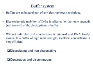 Gel Electrohoresis | PPT