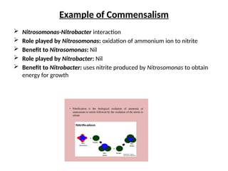 GE- microbe-microbe interaction (1).pptx