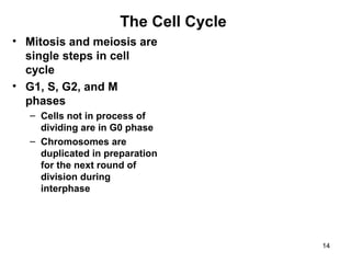 Cell metabolism, growth, reproduction | PPT