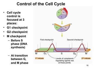Cell metabolism, growth, reproduction | PPT