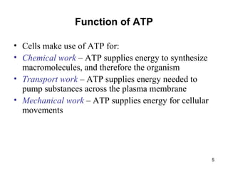 Cell metabolism, growth, reproduction | PPT