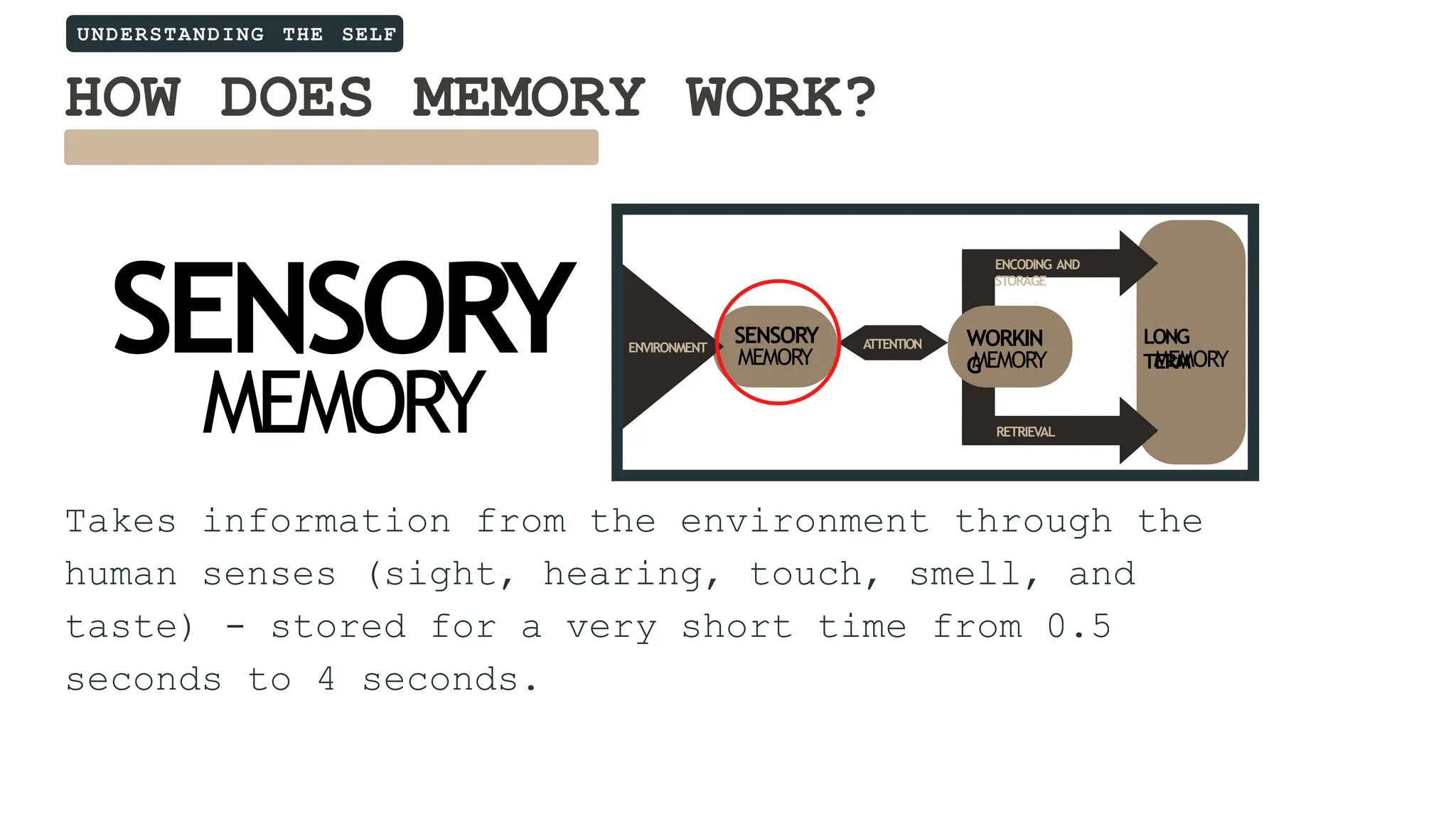 GE 1 - LESSON 1 - FINAL Understanding the Self.pptx