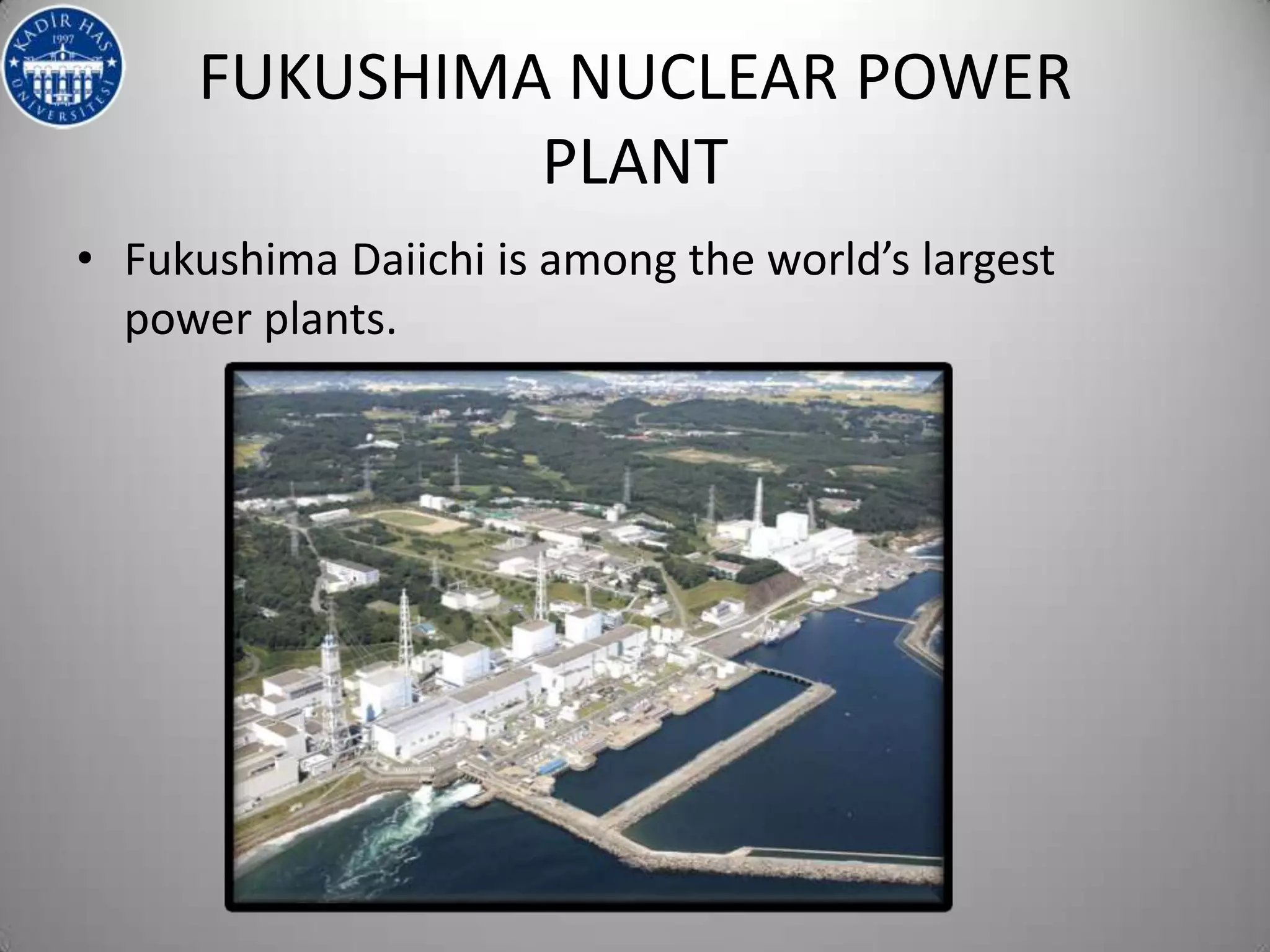 Fukushima Nuclear Disaster | PPTX