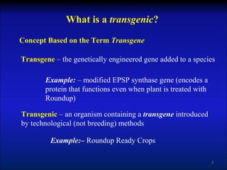 transgenic crops and their regulatory system | PPT