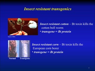 transgenic crops and their regulatory system | PPT