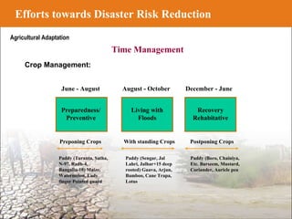 India a case study in Eastern Uttar Pradesh | PPT