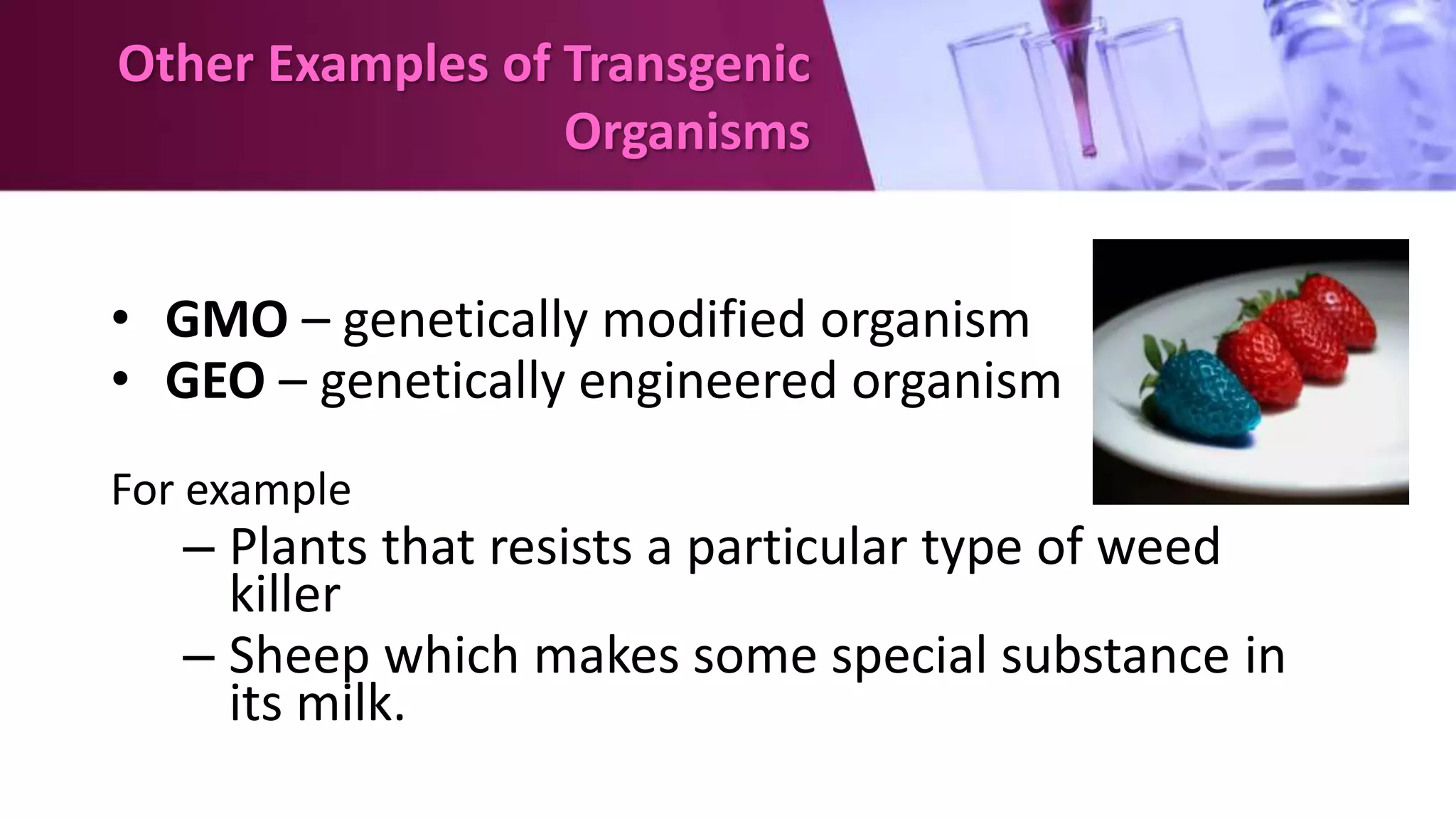 Genetic Engineering and Application | PPTX