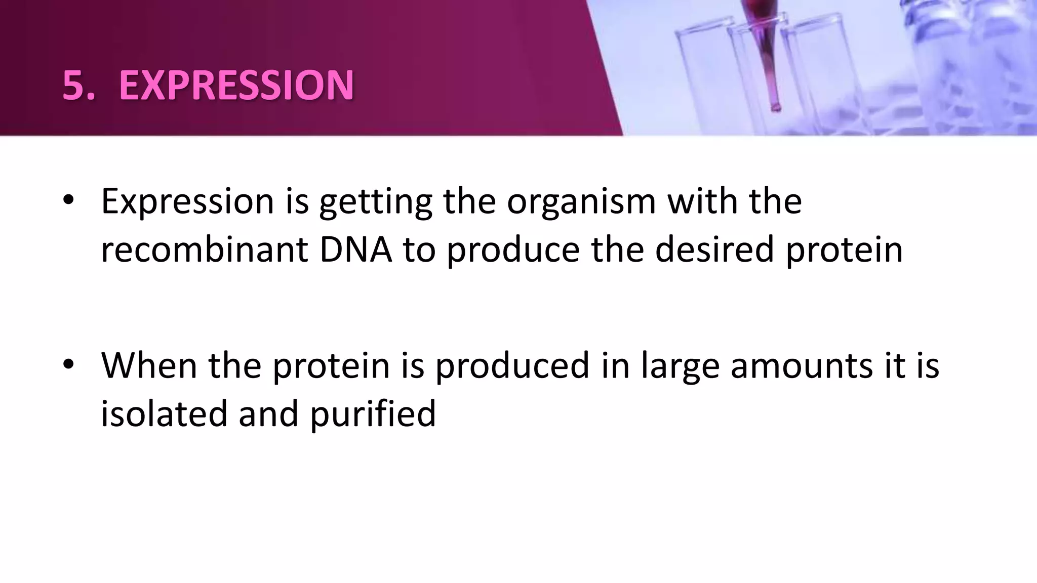 Genetic Engineering and Application | PPTX