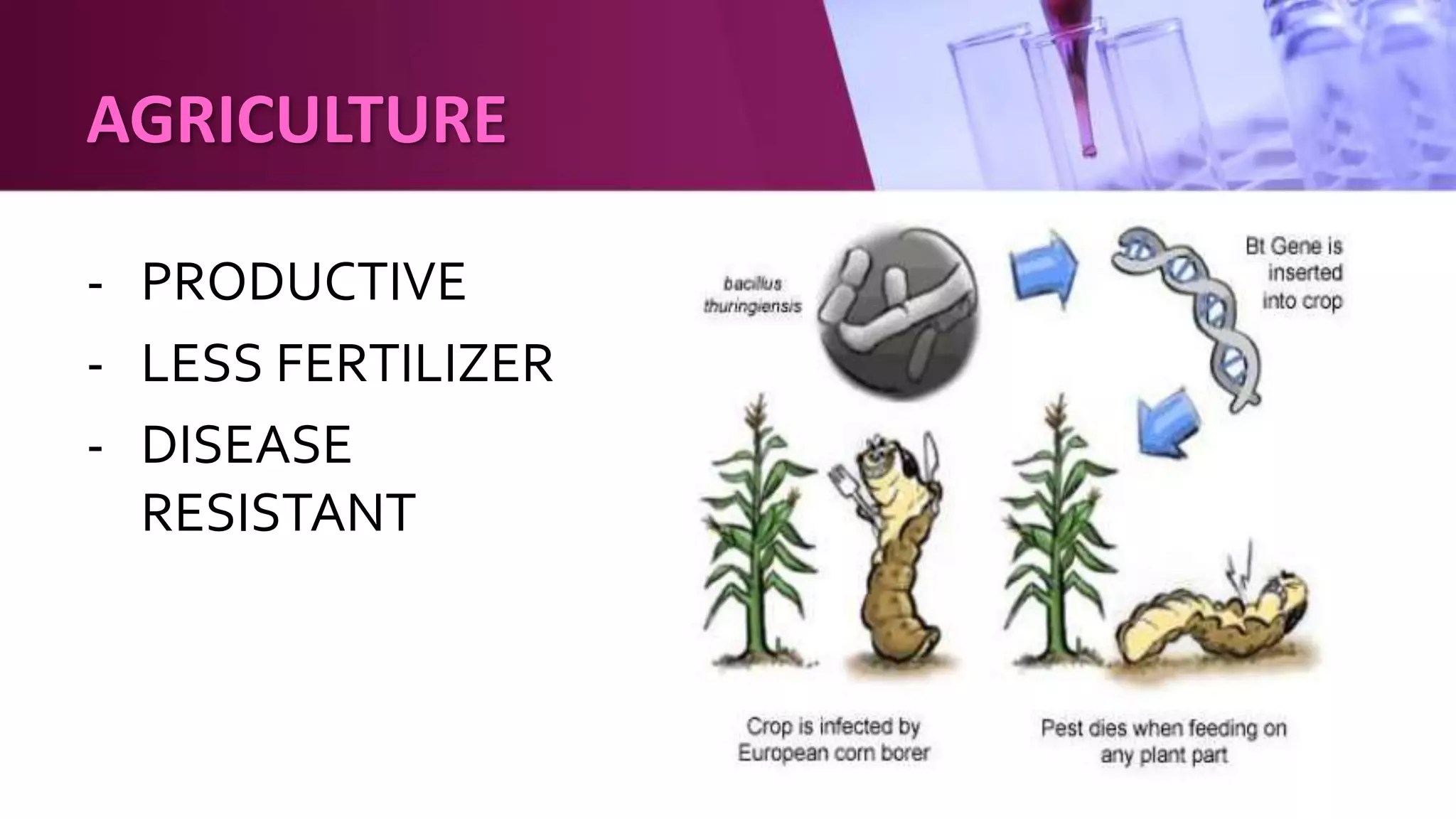 Genetic Engineering and Application | PPTX