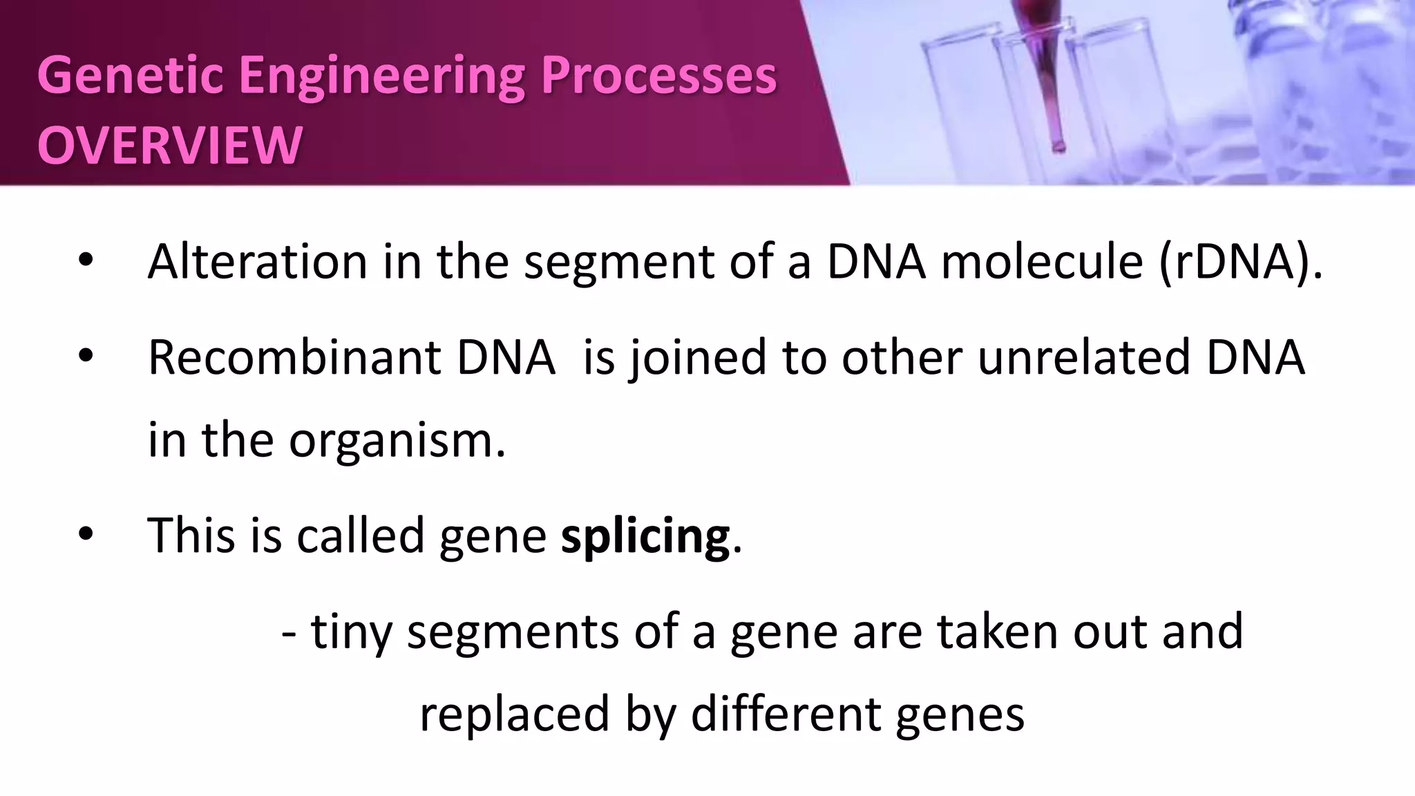 Genetic Engineering and Application | PPTX