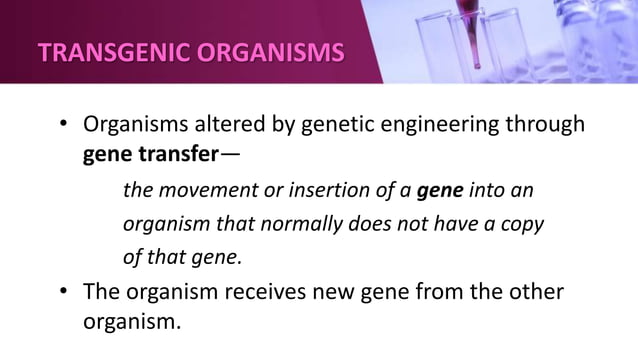Genetic Engineering and Application | PPTX | Genetics | Science