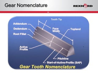 Gear Fundamentals & _Failure Analysis.pdf