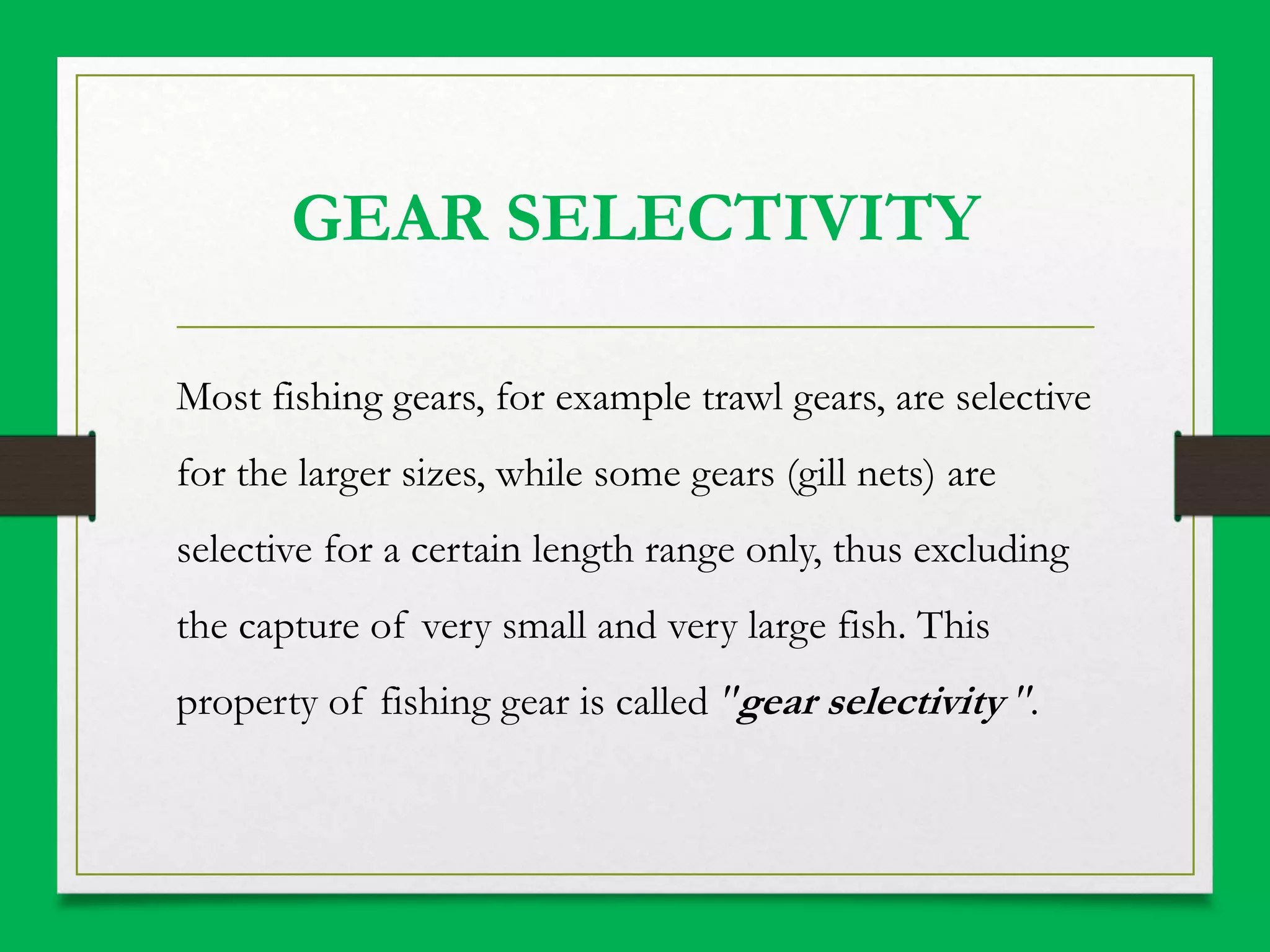 Fishing Gear selectivity | PPTX