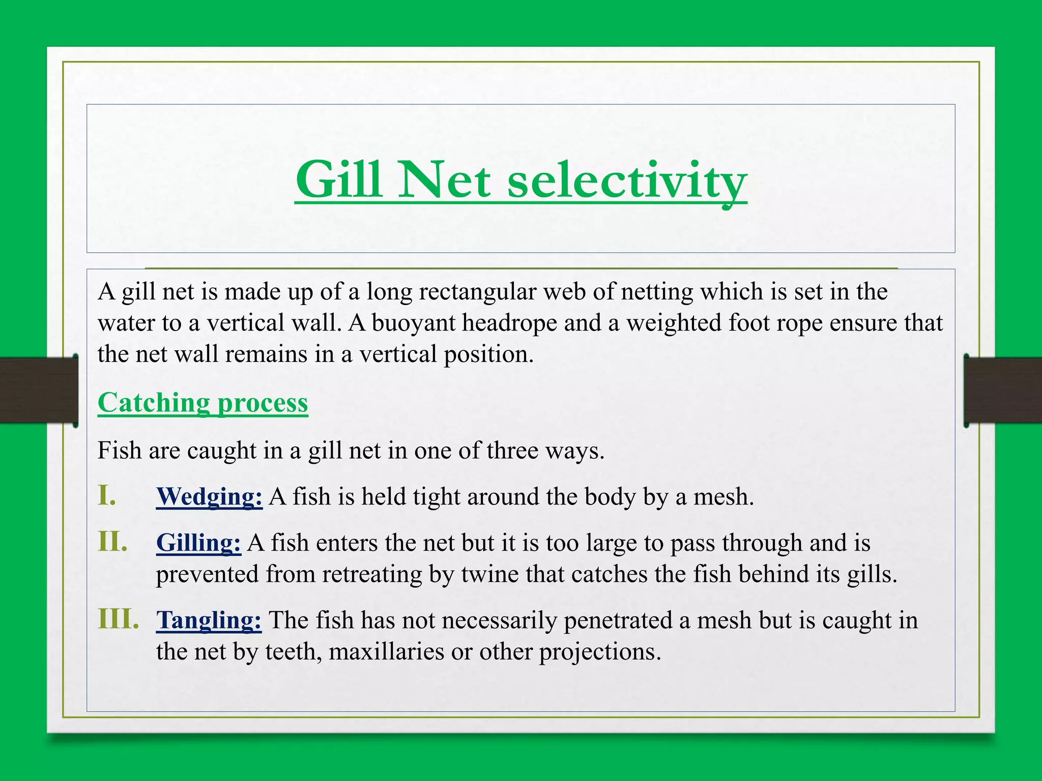 Fishing Gear selectivity | PPTX