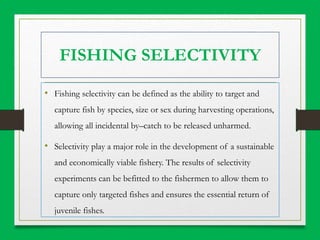 Fishing Gear selectivity | PPTX