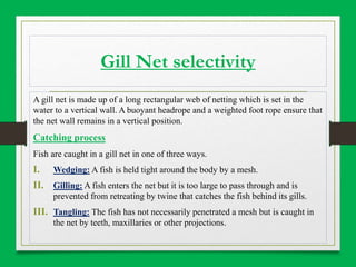Fishing Gear selectivity | PPTX
