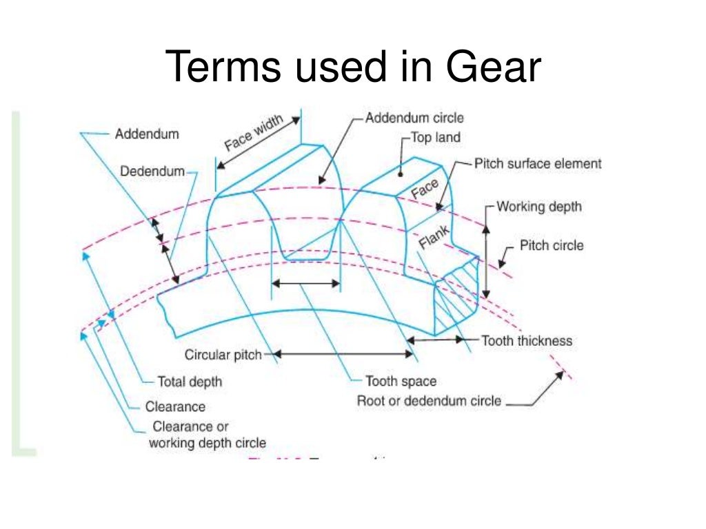 Gear tooth terminology