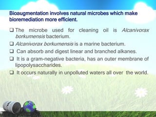 Bioremediation of Aquifers and Marine Oil Spills | PPTX