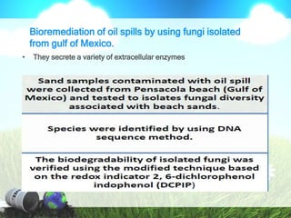 Bioremediation of Aquifers and Marine Oil Spills | PPTX