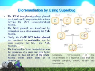 Bioremediation of Aquifers and Marine Oil Spills | PPTX