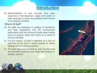 Bioremediation of Aquifers and Marine Oil Spills | PPTX