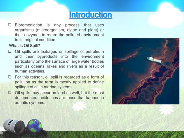 Bioremediation of Aquifers and Marine Oil Spills | PPTX | Science
