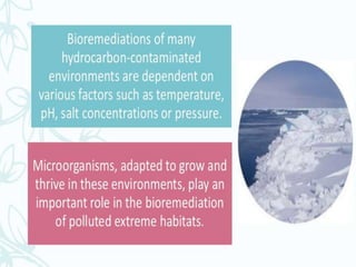 Bioremediation of Aquifers and Marine Oil Spills | PPTX