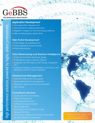 Gebbs Technology Services | PDF