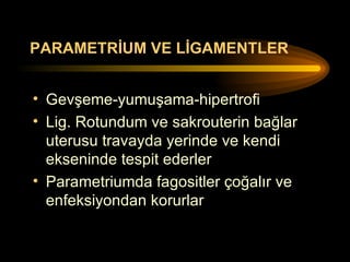 Gebe ve Lohusa Takibi - www.jinekolojivegebelik.com